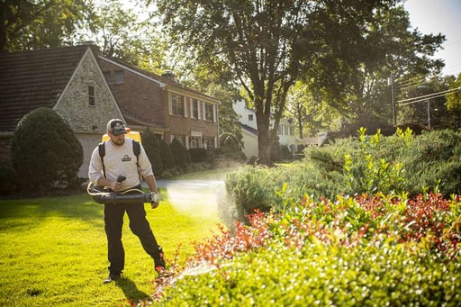 Pest Control Services | Alexandria, Springfield, & Arlington, VA ...