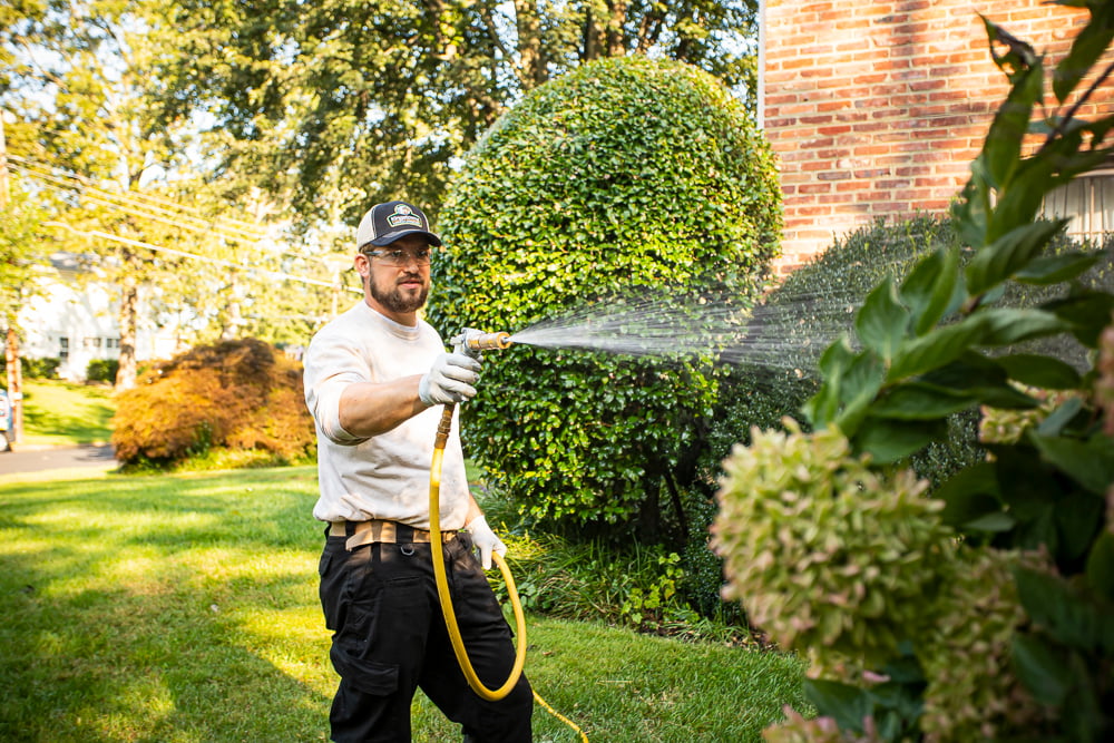 Lawn & Landscape Maintenance Services | Lawn Care | Alexandria, VA
