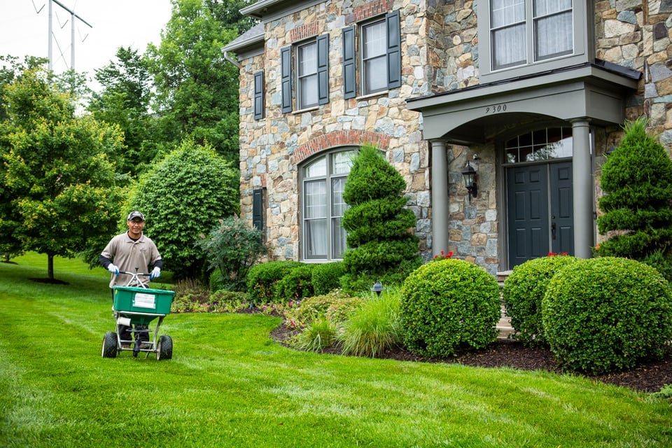 Lawn & Landscape Maintenance Services | Alexandria, Arlington ...