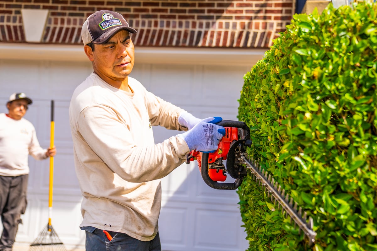 Lawn & Landscape Maintenance Services | Lawn Care | Alexandria, VA